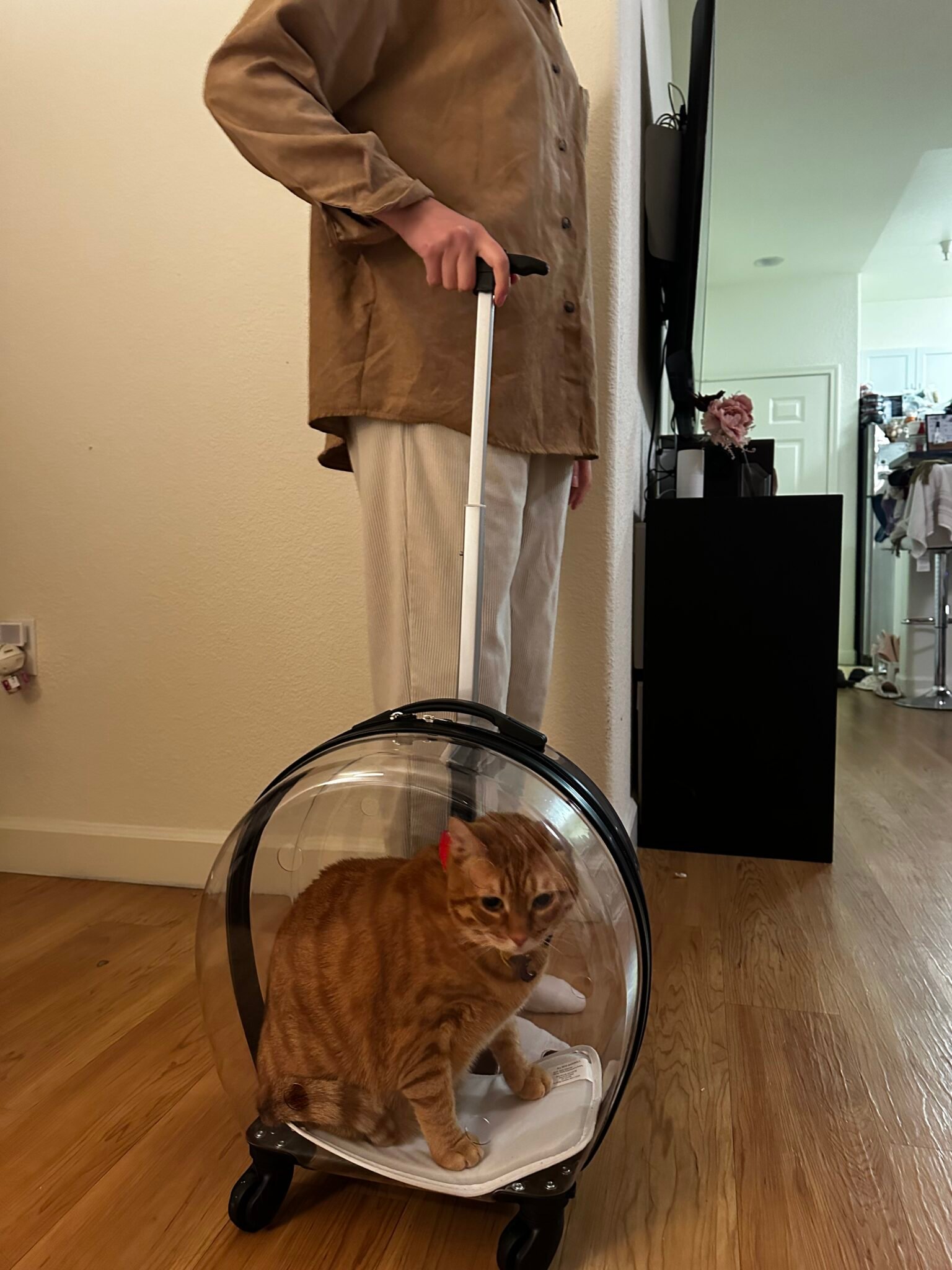 Best Selling Cat Carrier – CATTAC